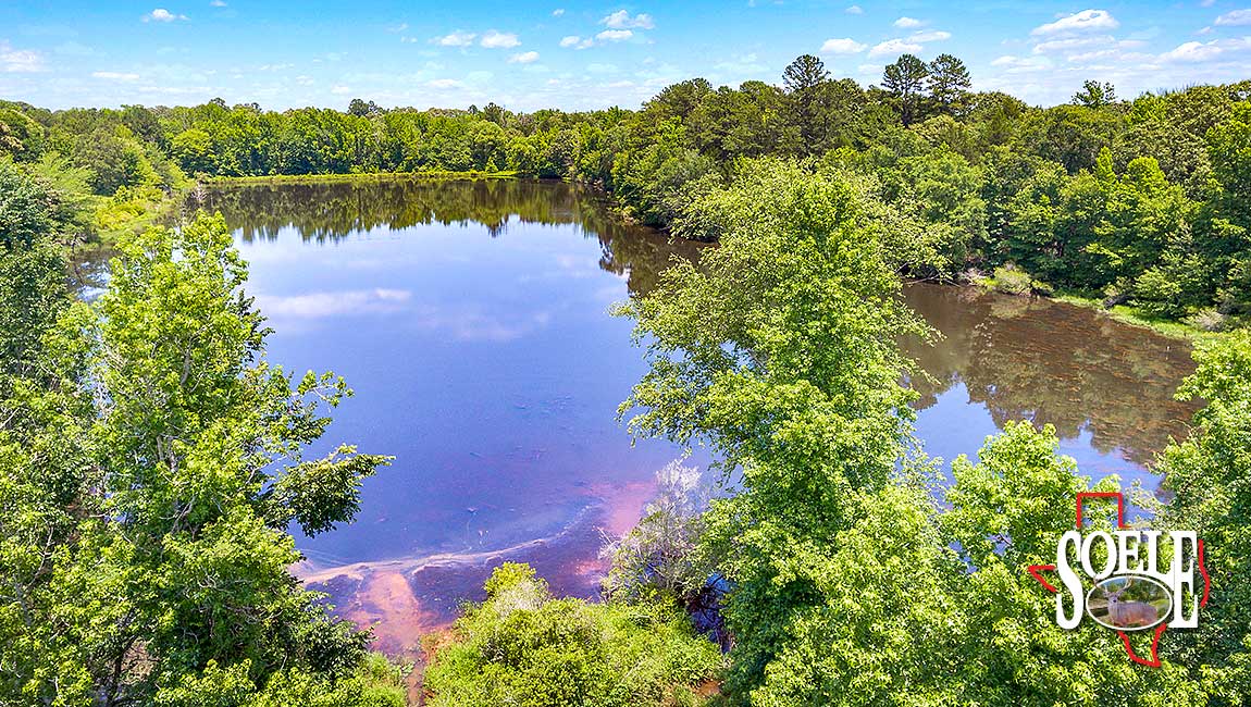 Texas Best Ranches | 280 Bullard Texas